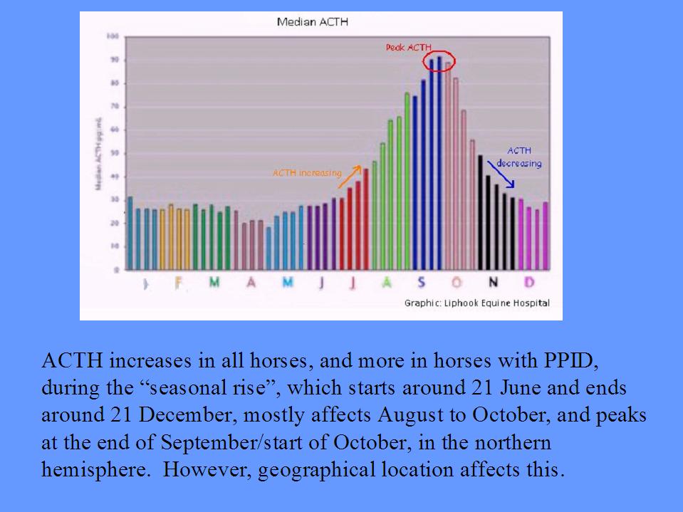 Does your horse or pony have PPID/Cushings? - Eazigrazer