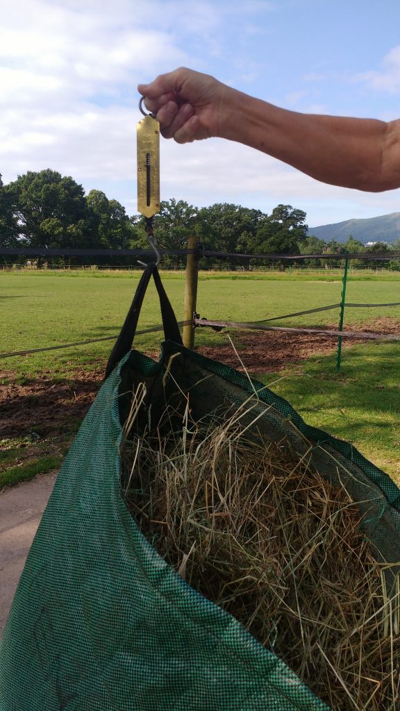 Weighing Hay - (Eazigrazer Tips 1 of 3) - More to follow